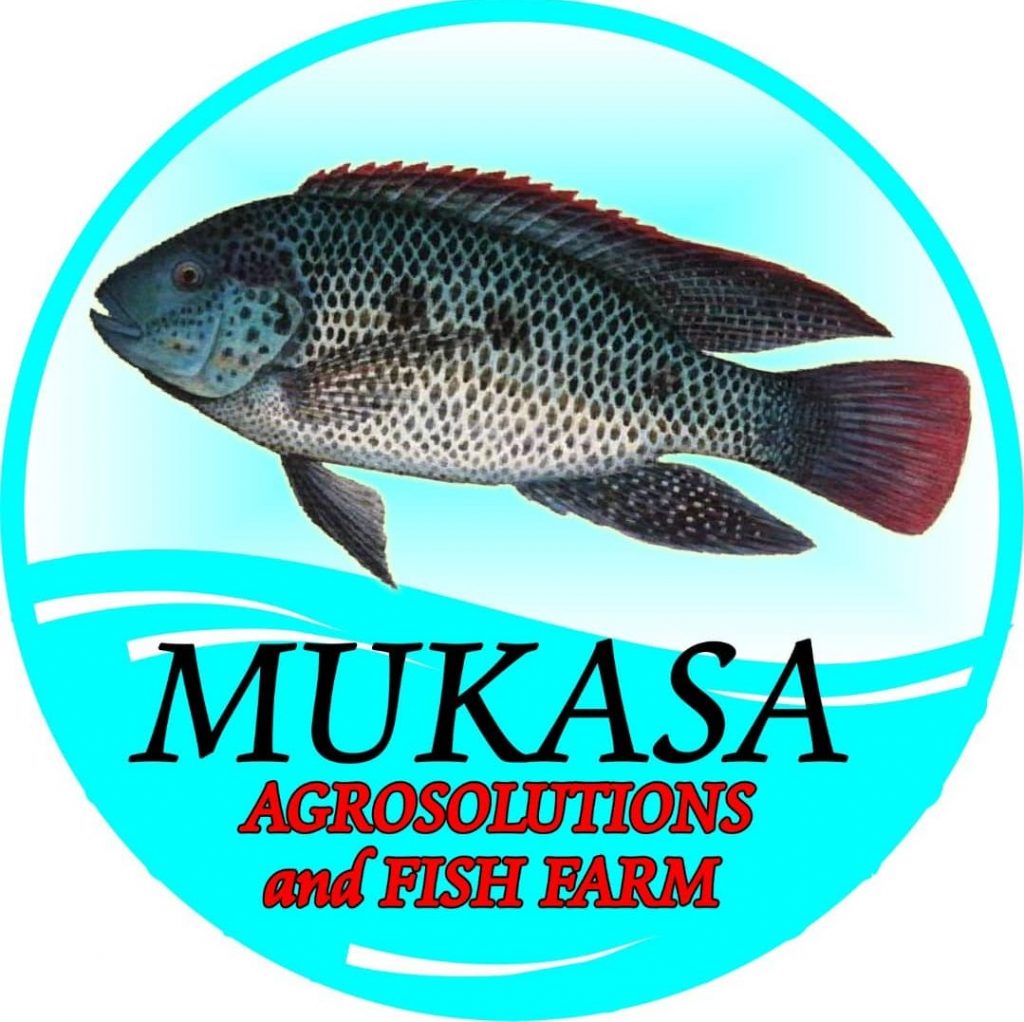 Novatek Fish Feed – Mukasa